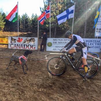 Tracz Mistrzem Świata w bikejoringu!